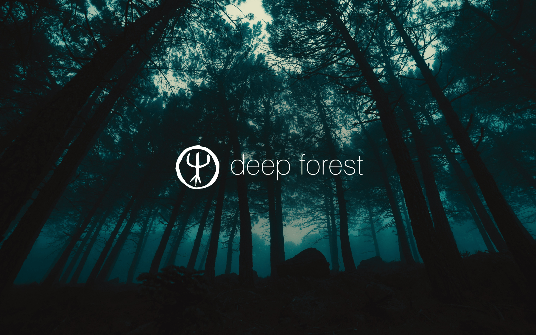 Itheum Explorer : Explore the Itheum Protocol